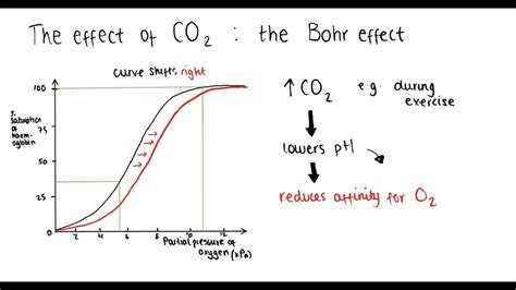 hemoglobin oxygen binding curve