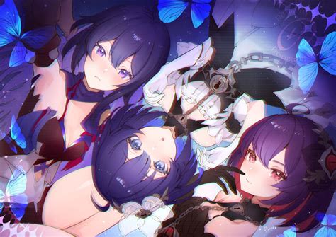 Seele Vollerei Seele Seele And Seele Vollerei Honkai And 2 More