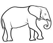 Coloriage Zebre Espece Herbivores Vivant En Afrique Dessin Animaux