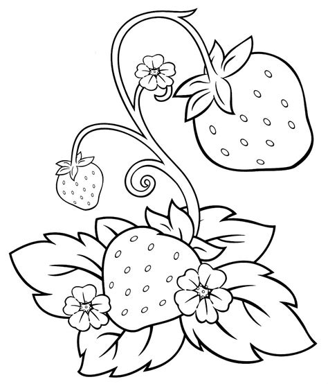Imagem Morango Para Colorir Morango Imprimir Dessin Fraise Morangos