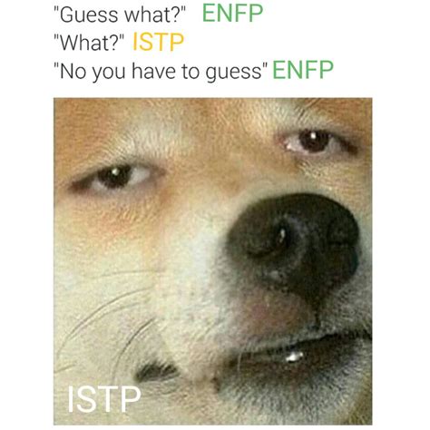 Best Istps Images On Pholder Mbtimemes Istp And Mbti
