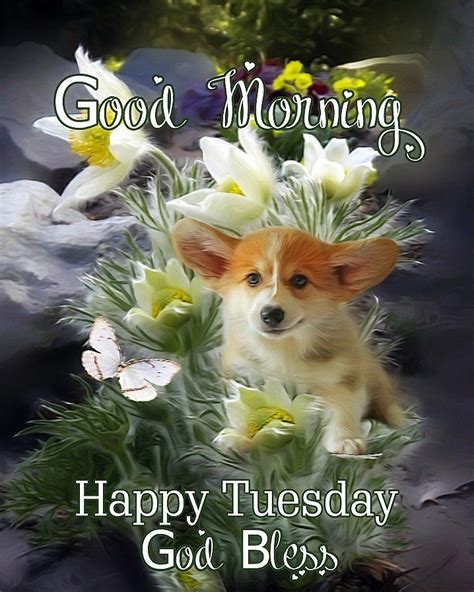 Good Morning Happy Tuesday God Bless Pictures Photos And Images For