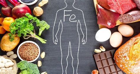 Alimentation Et Sant Aliments Riches En Fer Pour Lutter Contre L