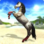 Star Stable Największa Gra o Koniach na PC Mac w Historii Gry o