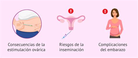 Qu Riesgos O Consecuencias Puede Tener La Inseminaci N Artificial