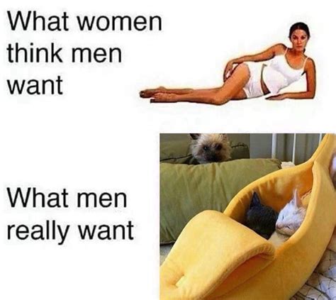 Can I Have A Cuddle Pls R Wholesomememes Wholesome Memes Know