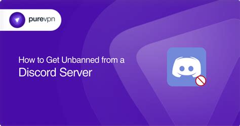 How To Get Unbanned From A Discord Server Purevpn Blog