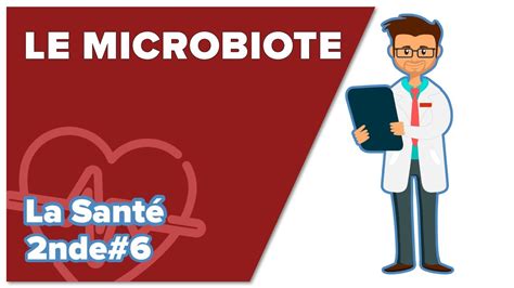 Microbiote et santé SVT SANTE 2nde 6 Lycée Mathrix YouTube