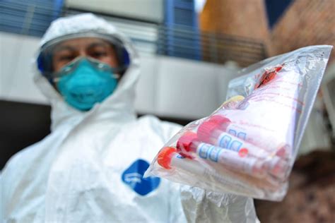 OMS Confirma Primera Muerte Humana Por Gripe Aviar En El Mundo RADIO