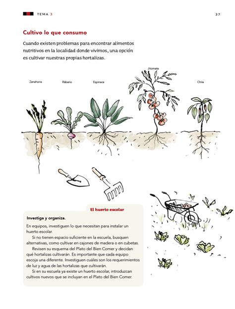 Ciencias Naturales Tercer grado 2017 2018 Página 37 de 154 Libros