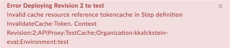 Invalidate Cache Policy Deployment Error Troubleshooting Apigee Edge