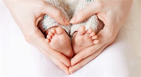 Three Trimesters Of Pregnancy Fetal Development Americord Registry