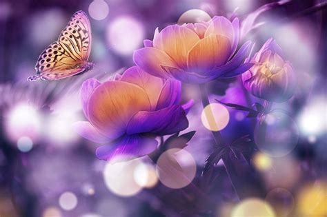 World Most Beautiful Wallpapers For Desktop Infoupdate Org