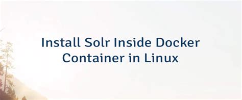 install solr inside docker container in linux lindevs