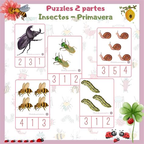 Tarjetas Asociación Número Cantidad Insectos Primavera Kumubox