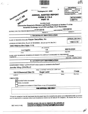 Fillable Online ANNUAL AUDITED REPORT FORM X 17A 5 PART Hi 16418