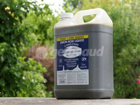 Le savon noir au jardin un allié naturel contre les insectes Les