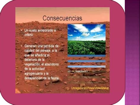 Tema De Seminario Lacontaminacion De La Tierra Causas Y Consecuencias