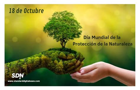 Hoy es Día Mundial de la Protección de la Naturaleza Standard Digital