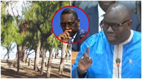 Partage des filaos de Guediawaye Ameth Aïdara fait des révélations et