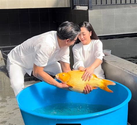 Vua cá Koi Thắng Ngô và ca sĩ Hà Thanh Xuân 1 năm sau đám cưới đình