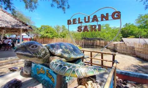 Pulau Penyu Tanjung Benoa Surga Bahari Tersembunyi Nan Eksotis Di Bali