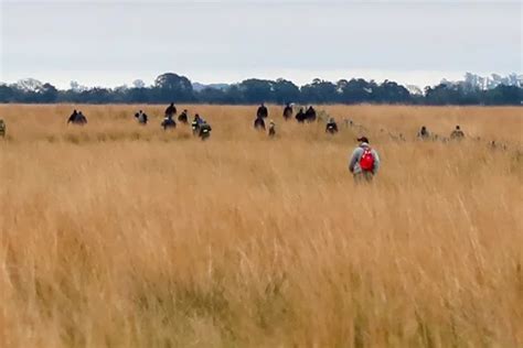 Caso Loan As Es El Campo Donde Habr An Enterrado A Un Nene En Una