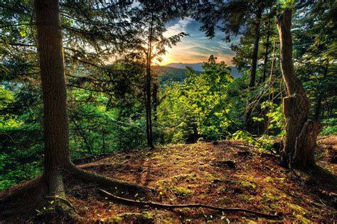 Hintergrundbilder Sonnenlicht Landschaft Wald Natur Morgen
