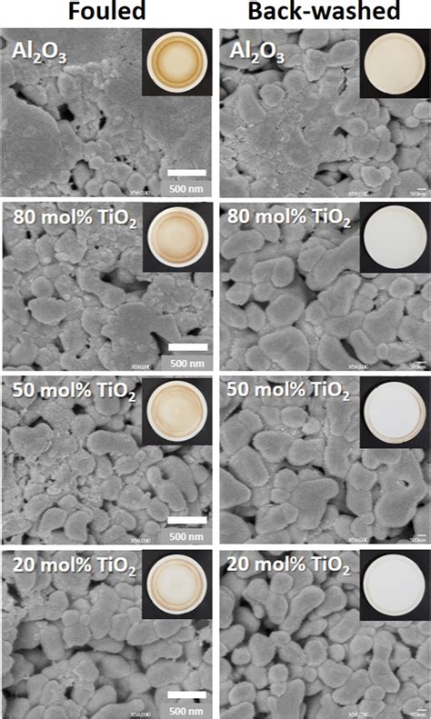 sem micrographs of binary tio2 sio2 coated mf membranes subjected to download scientific