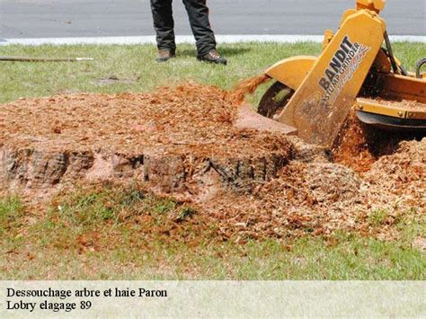 Entreprise De Dessouchage D Arbre Paron Tel