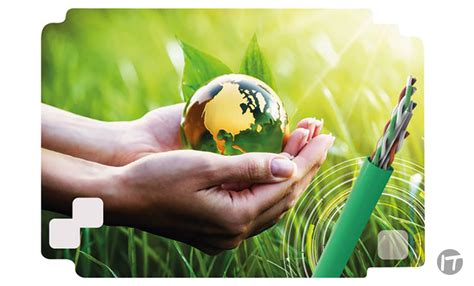 Organizaciones en 2021 Cómo promover acciones sustentables para el