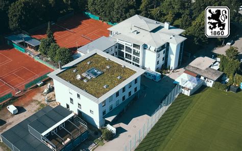 TSV 1860 München News