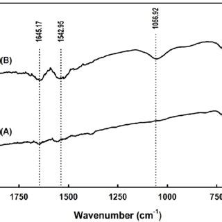 Fourier Transform Infrared Spectroscopy FTIR Spectra Of Naked Fe 3 O