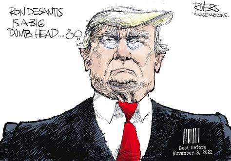 9 Brutally Funny Cartoons About Trump S Midterms Disaster The Week
