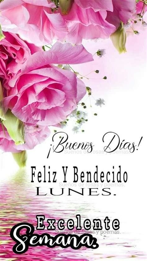 Pin de maritza muñoz en galeria en 2024 Saludos de buenos dias