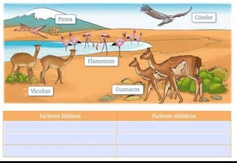3 Observa El Ecosistema Luego Completa La Tabla Escribiendo Tres