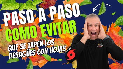 Paso a Paso cómo evitar que se tapen los desagües con hojas YouTube