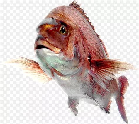 Png Png