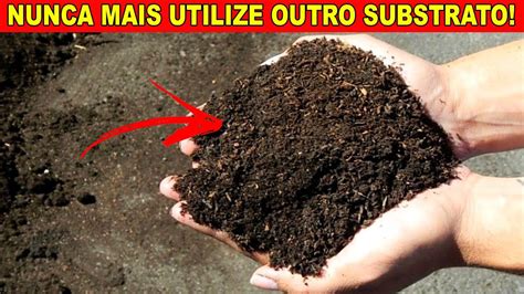 Como Fazer Substrato de Forma Simples e Fácil Para Iniciantes YouTube