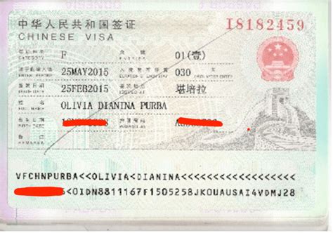 Cara Apply Visa China 2023 Traveling Aja Dulu