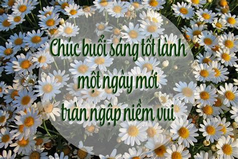 Top Hot Hình ảnh chúc buổi sáng vui vẻ chào ngày mới an lành Kiến