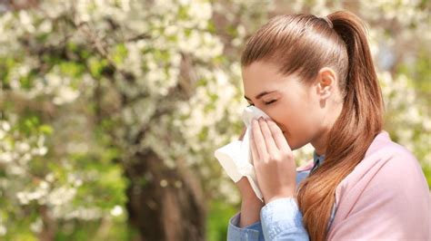 Alergia Wziewna Przyczyny Objawy Leczenie Poradnik Gemini
