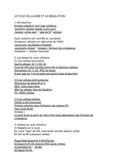 Le Cycle Cellulaire Pdf