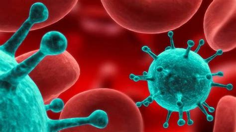 Immunology School Of Medicine Cardiff University