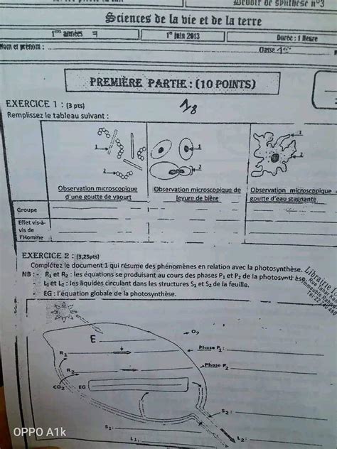 1ère année secondaire Sciences SVT devoir de synthese n1 svt correction