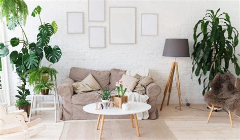 Living Room Decor Ideas With Indoor Plants Cabinets Matttroy