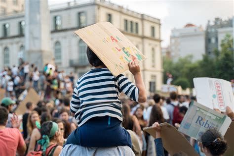 Jahresringe deuten Baumwissen für Kinder Waschbär Magazin