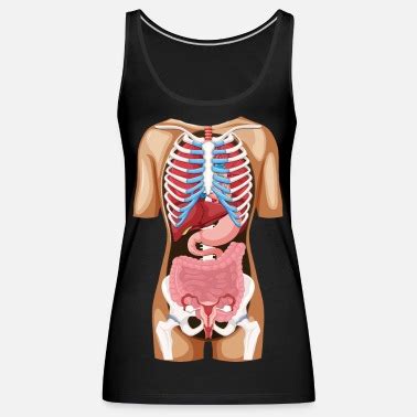 Top 55 Anatomie Menselijk Lichaam Organen Update