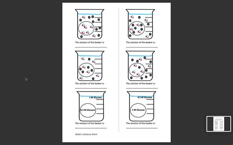 Solved Diffusion And Osmosis Worksheet Modified The Images Chegg