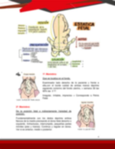 Solution Palpacion Gestacional Y Edad Gestacional Studypool